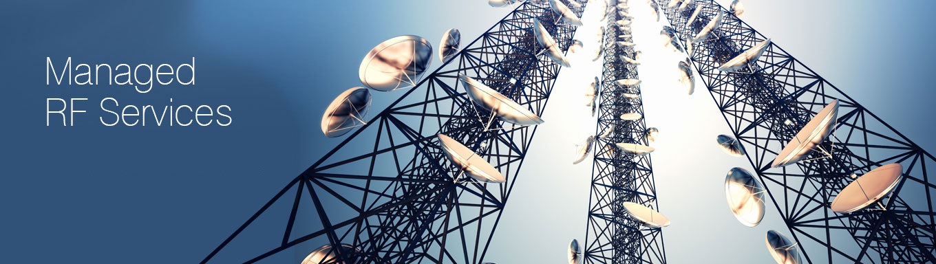 Telecom Services and Consultant : Telecom Audit